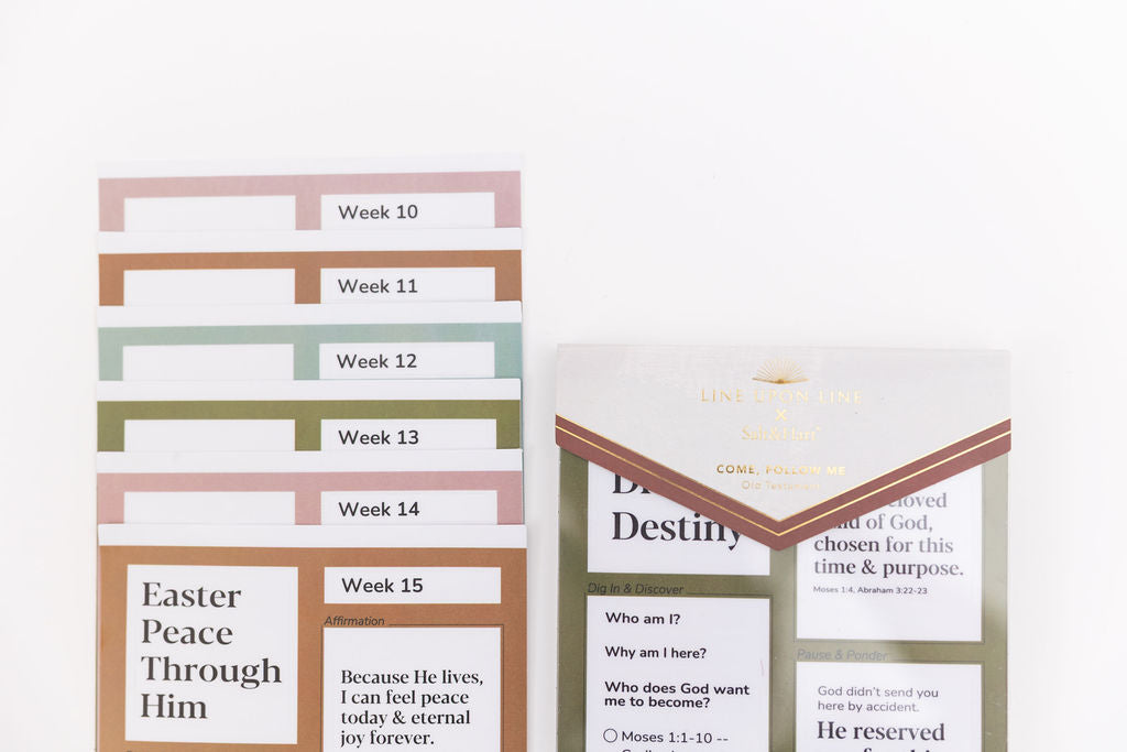 Old Testament Bundle - Journaling Edition – Line Upon Line, Co.
