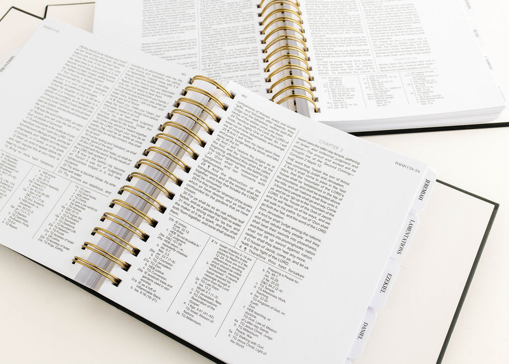 Old Testament Bundle - Study Edition – Line Upon Line, Co.
