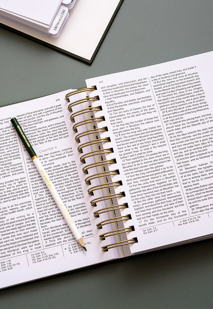 STUDY EDITION – Line Upon Line, Co.