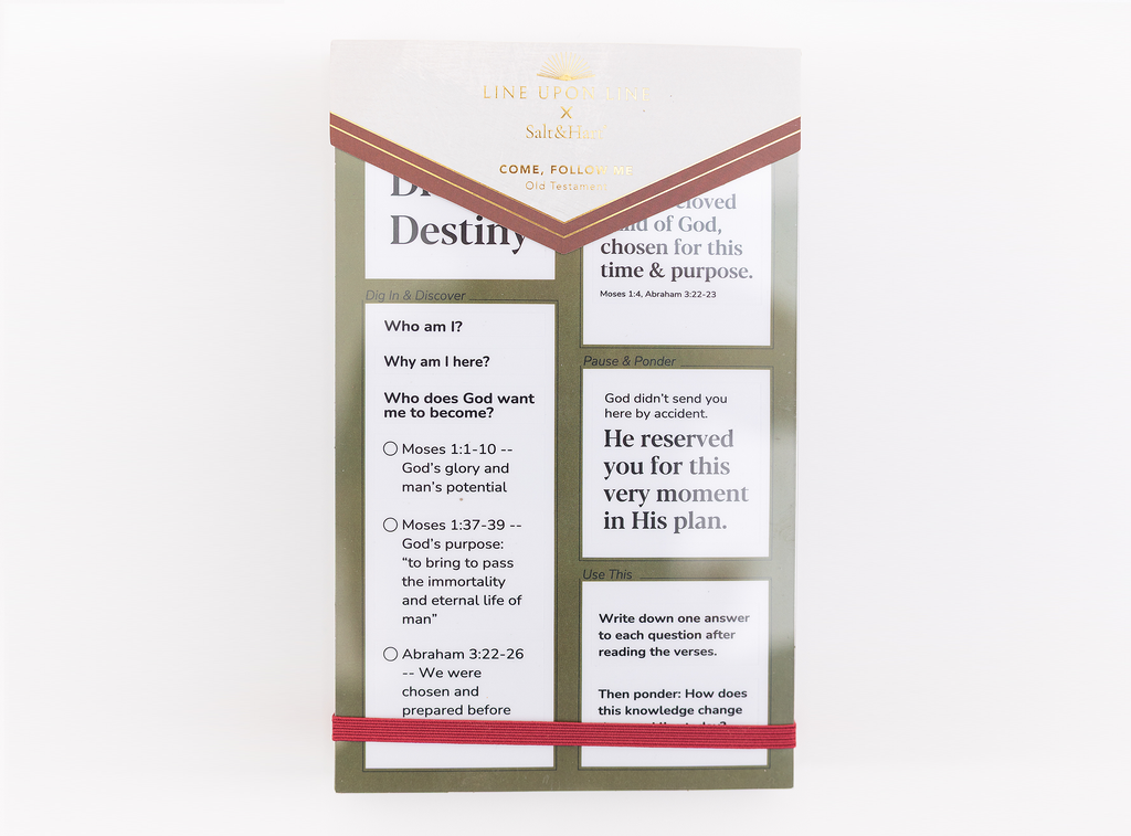 CFM Study Sticker Book—Old Testament – Line Upon Line, Co.