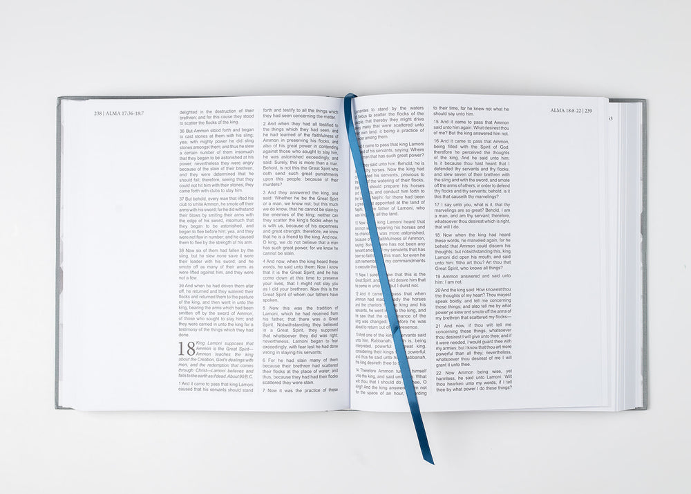 The Book of Mormon Journaling Edition | Line Upon Line, Co.